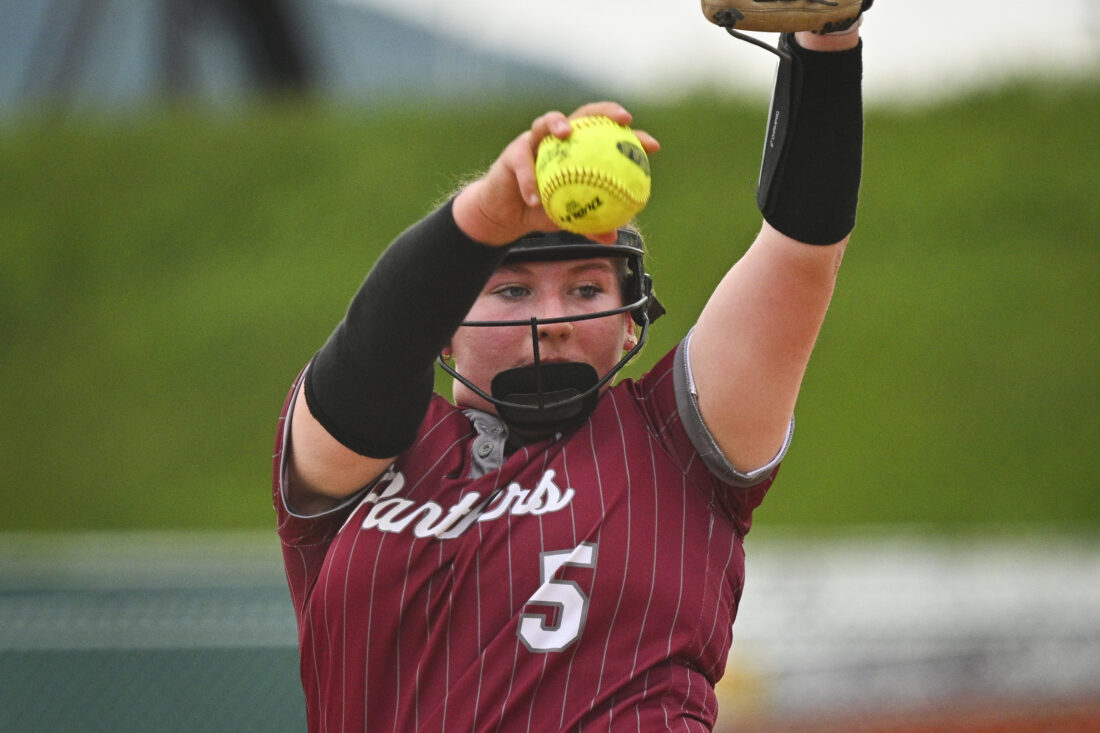 Bucktail loses to Northeast Bradford in District 4 Class A softball ...